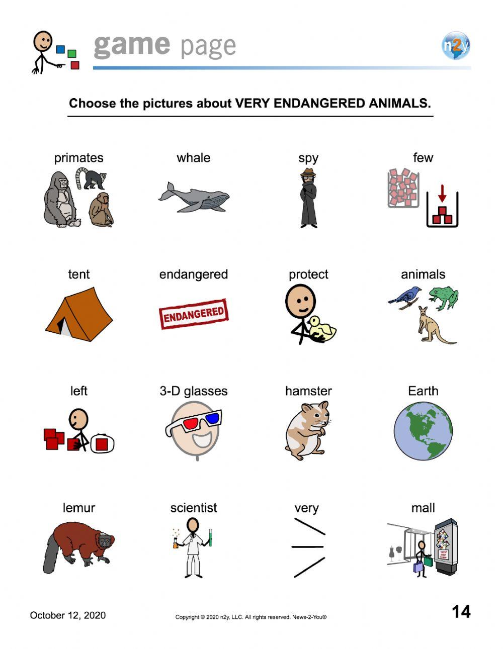 N2Y: Endangered Animals 2 | Patricia Minniti | Live