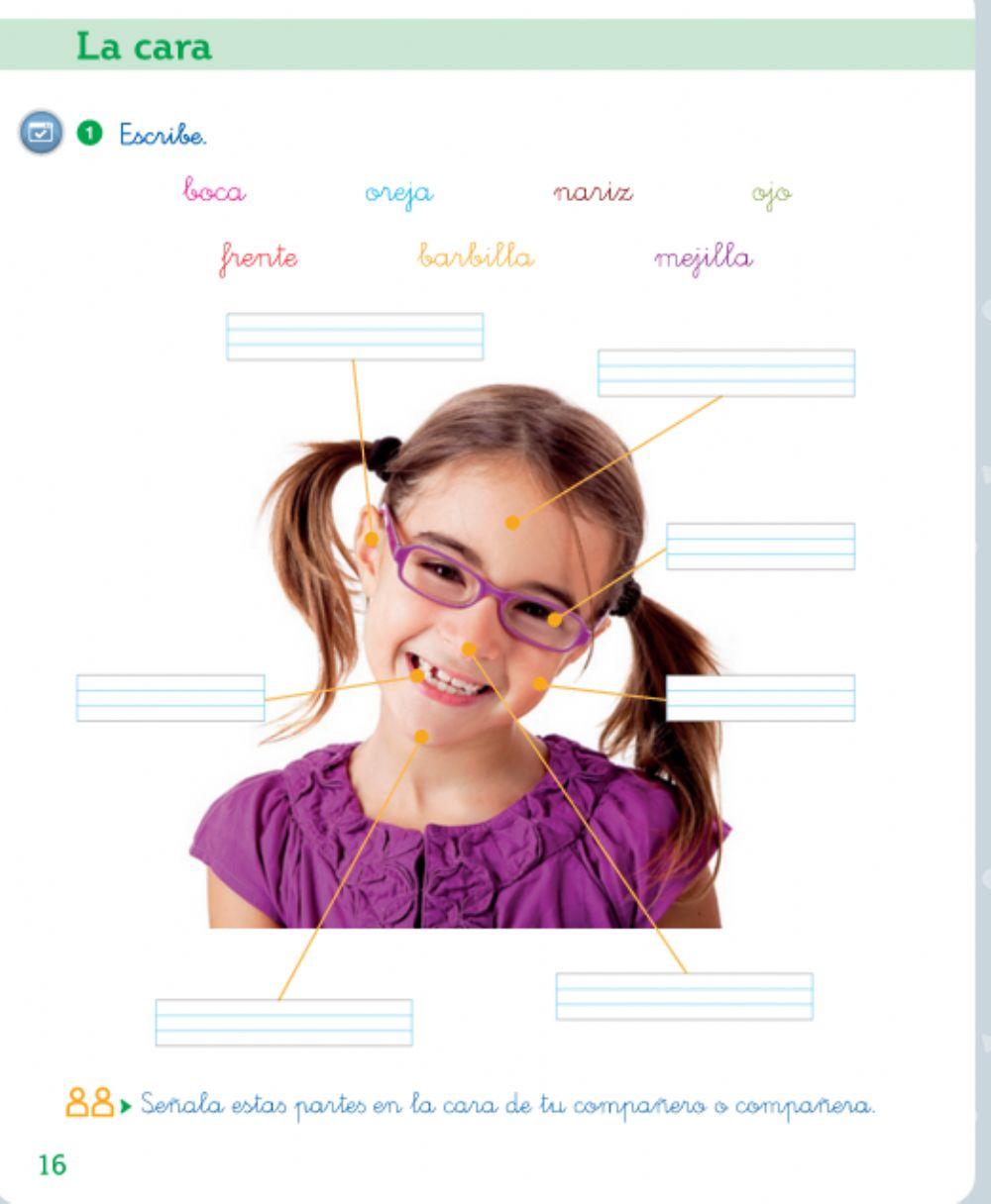 Partes de la cara Ciencias de la Naturaleza activity | Live Worksheets