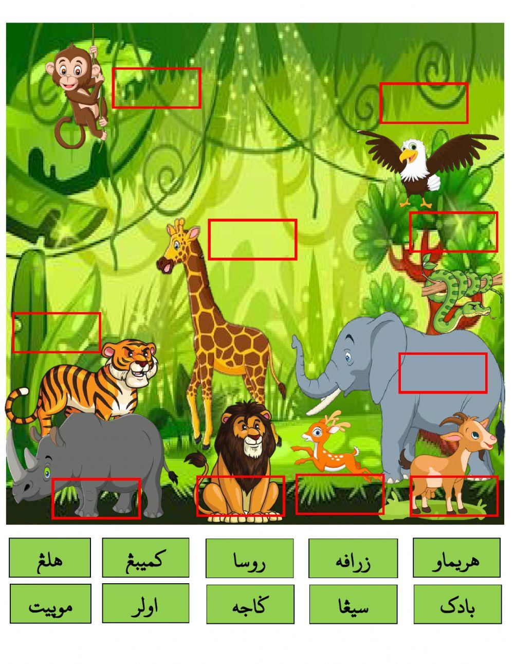 Binatang | Live Worksheets