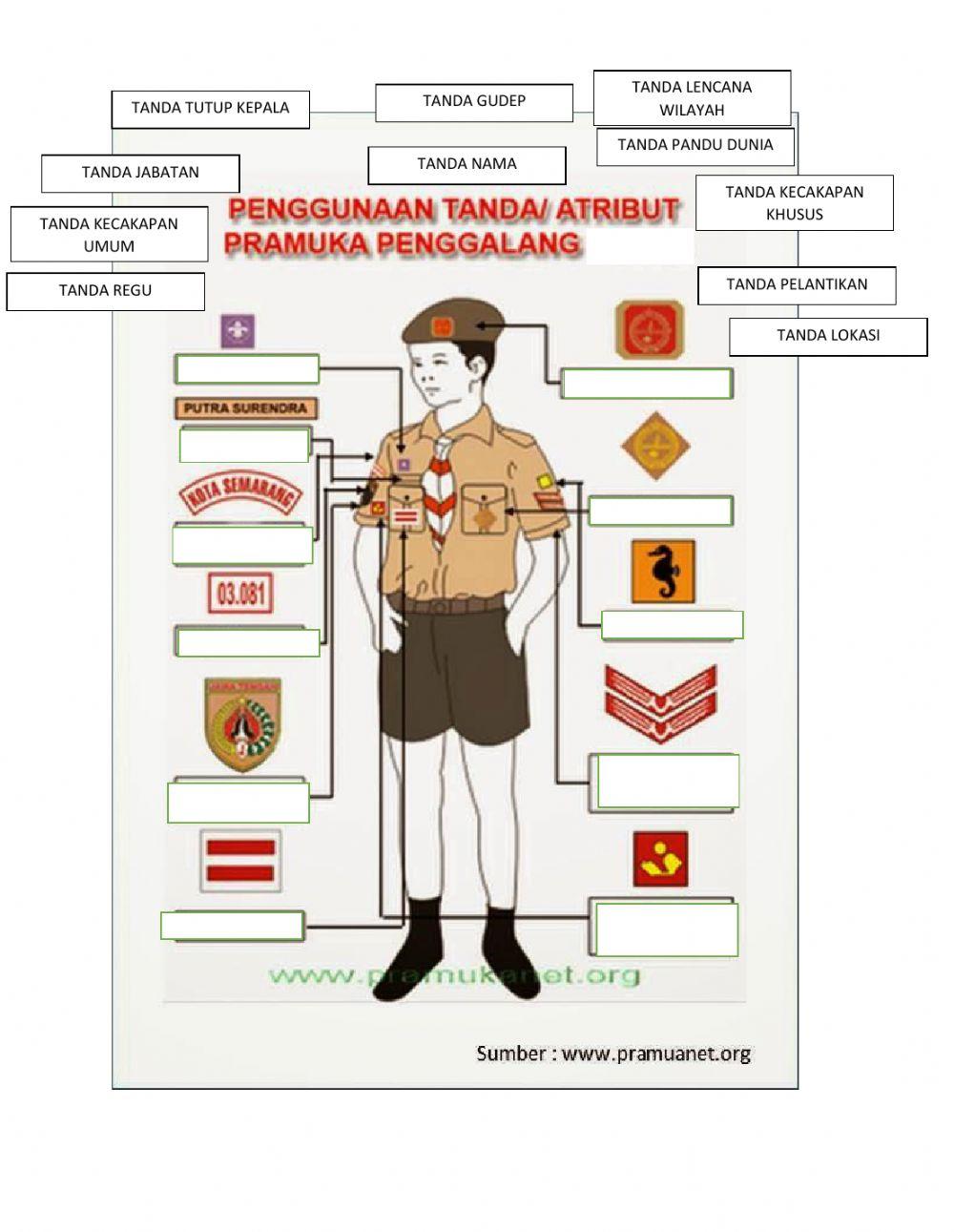 Materi pramuka | Free Interactive Worksheets | 419340