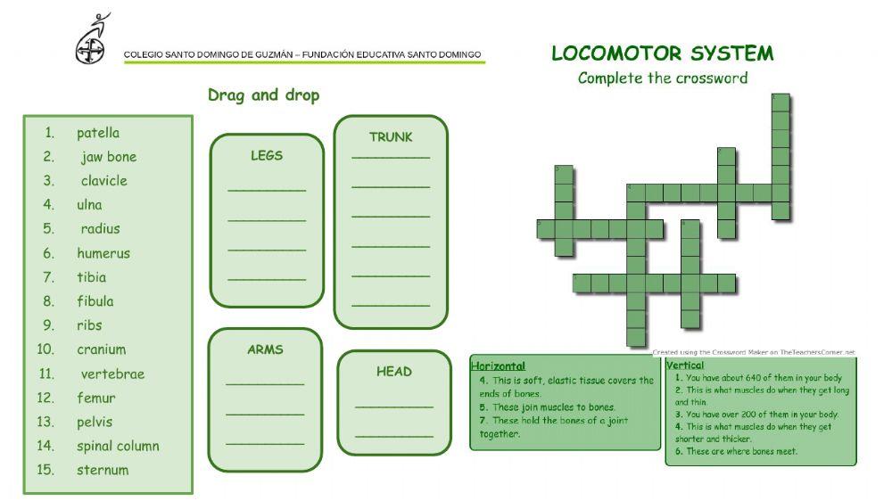 Locomotor system | Free Interactive Worksheets | 419832