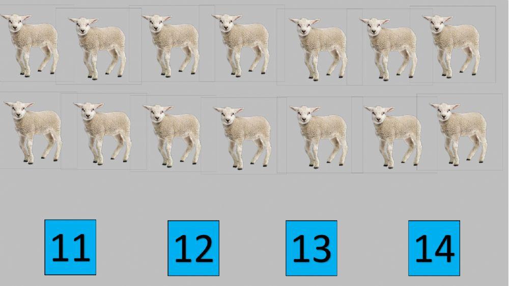 Animals and Numbers online worksheet | Live Worksheets