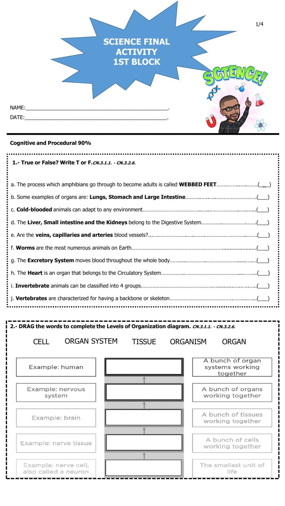 Science Final Activity - 1st Block 420528 | Herbert