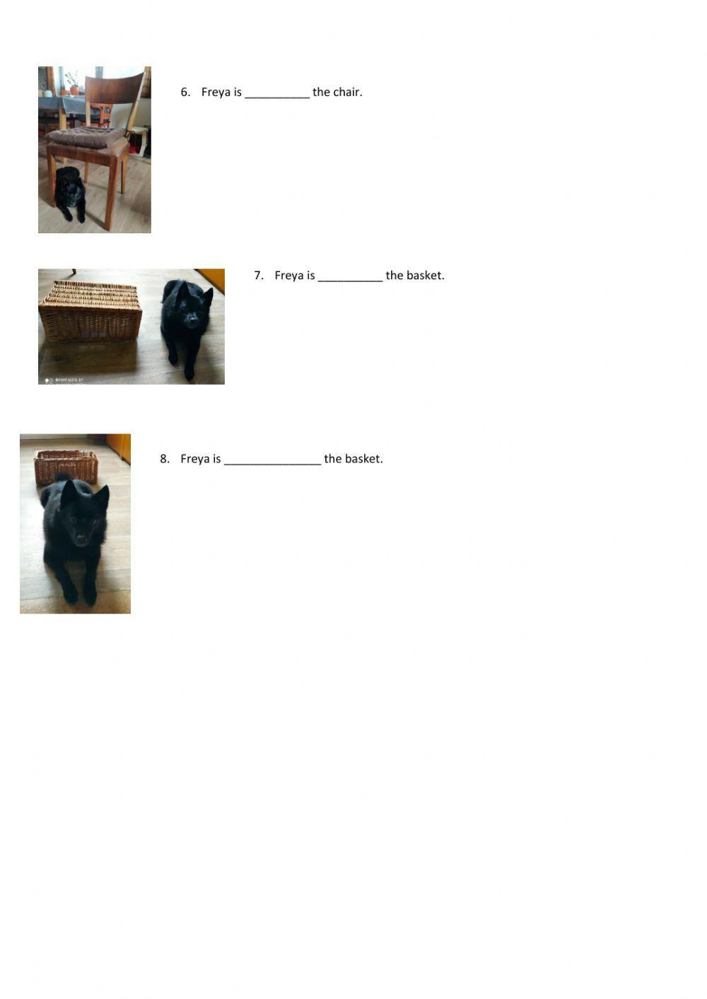 Prepositions of Place online exercise for Elementary | Live Worksheets