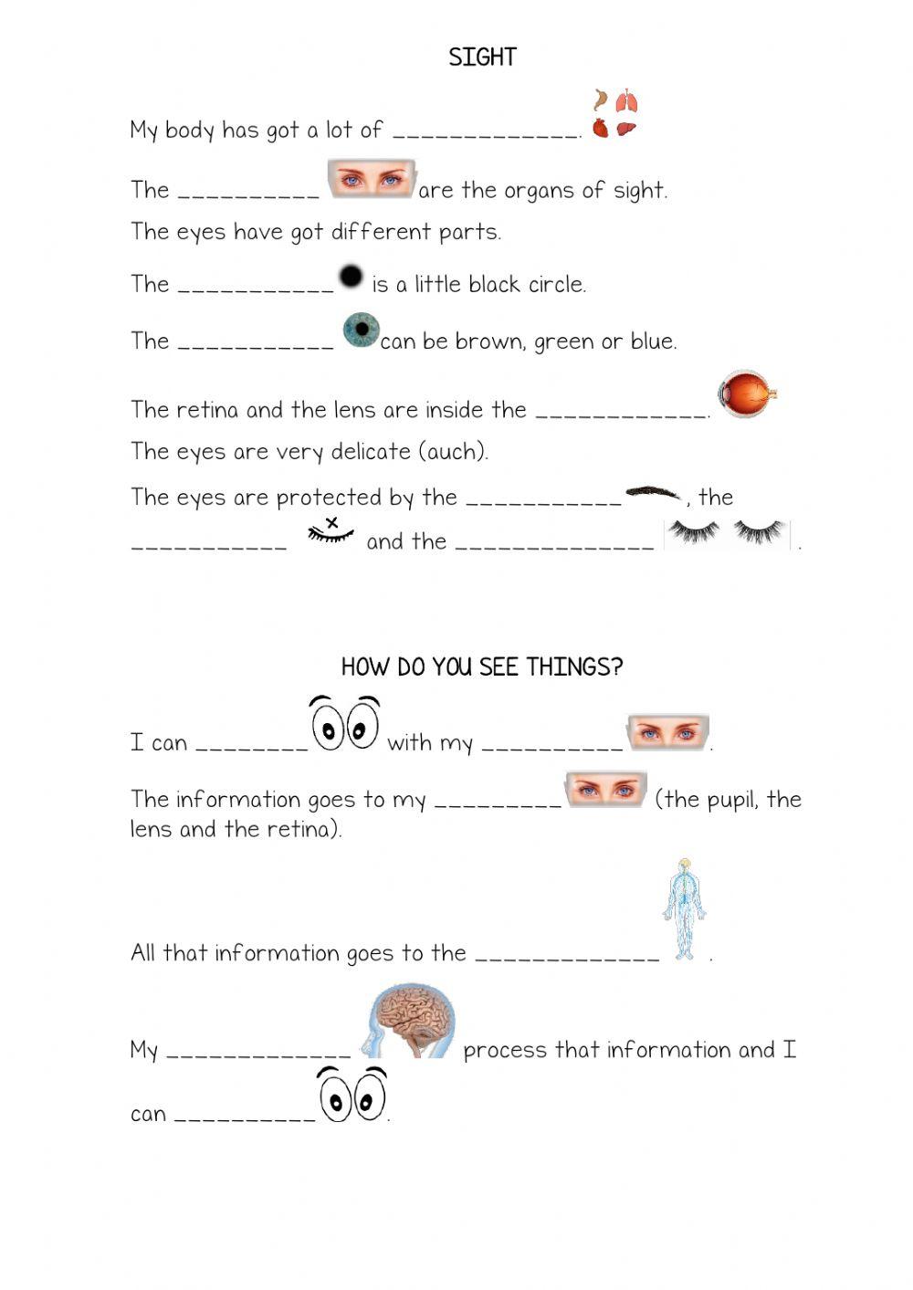 Sight | Live Worksheets