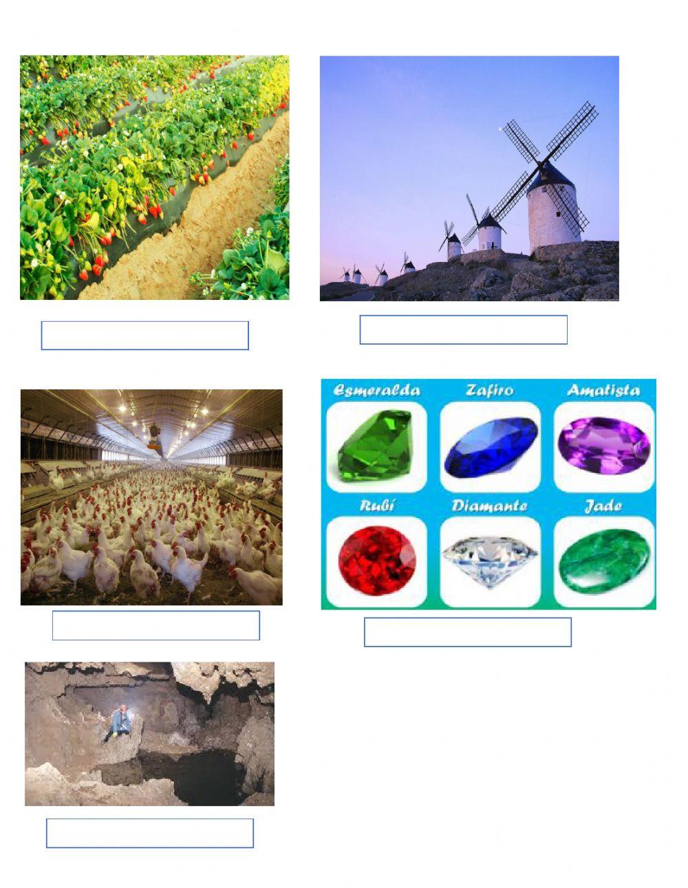 Riquezas de los recursos naturales worksheet | Live Worksheets