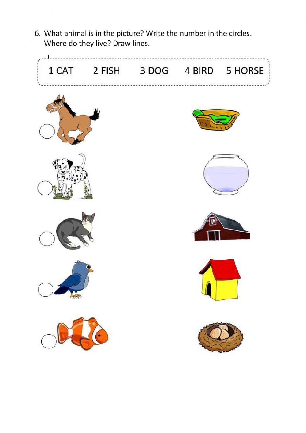 English for you… | Free Interactive Worksheets | 422439