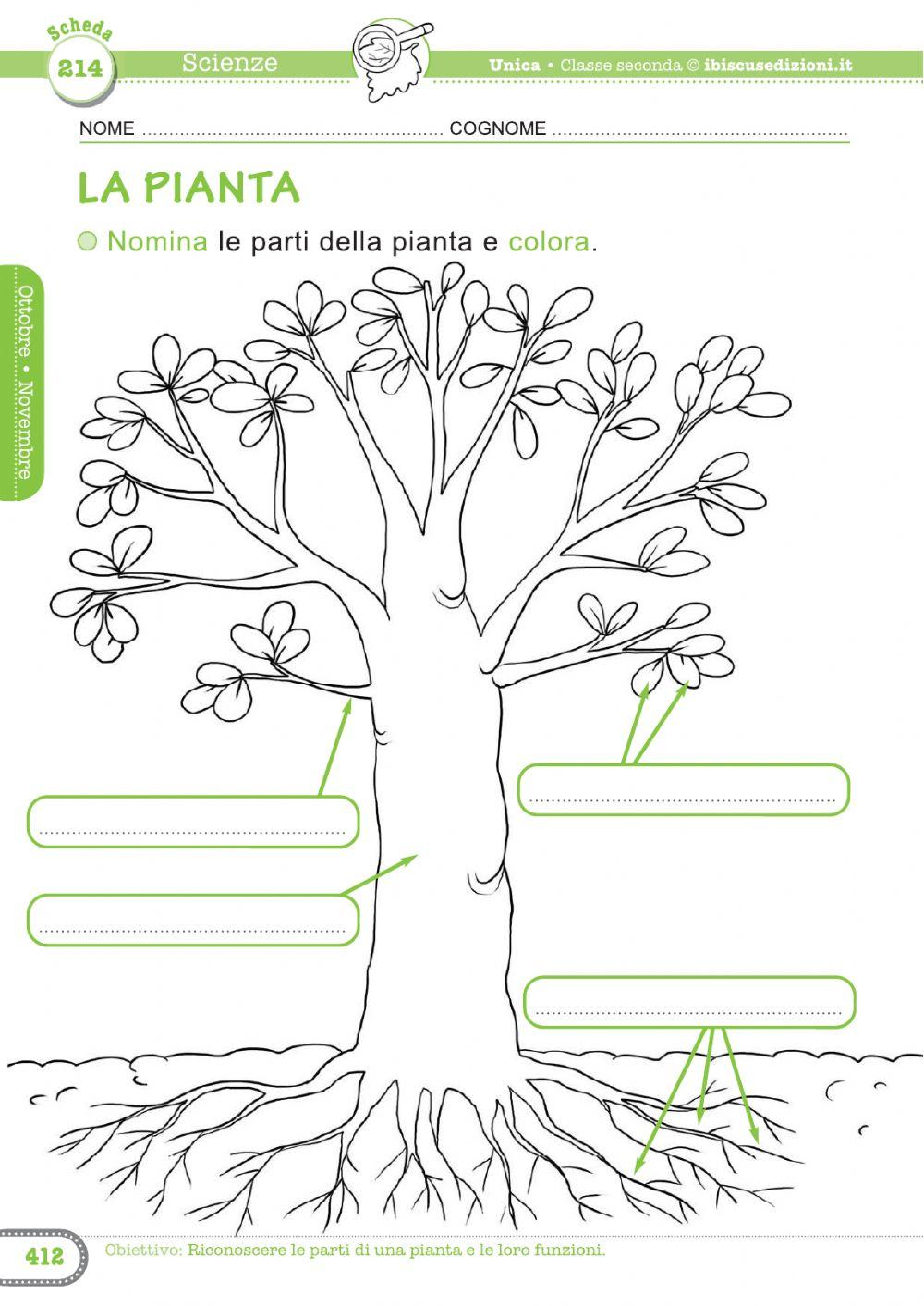 4340891 | prova1 | tmzai | LiveWorksheets