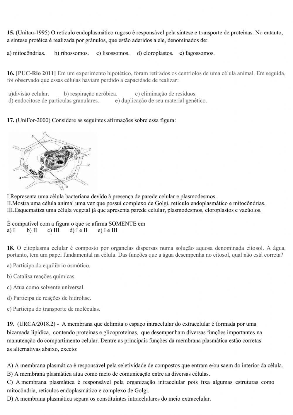 Atv teste online exercise for | Live Worksheets