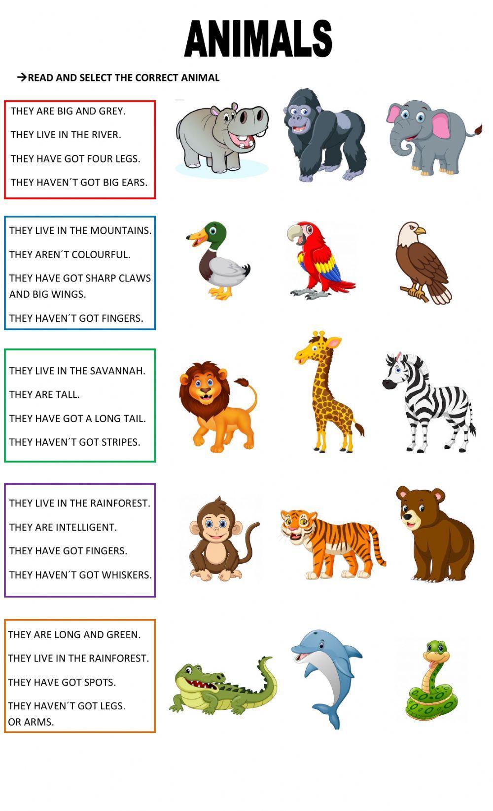 Animals 427434 | AlejandraVallelunga | Live Worksheets