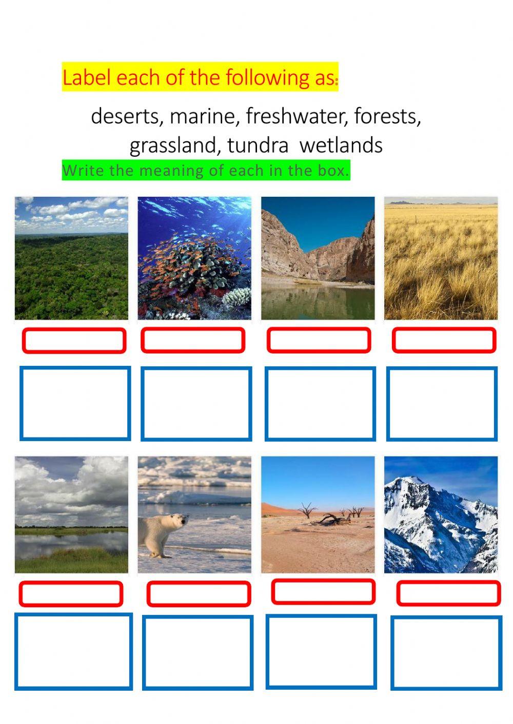 4344736 | types of environment | Janell Jeffrey