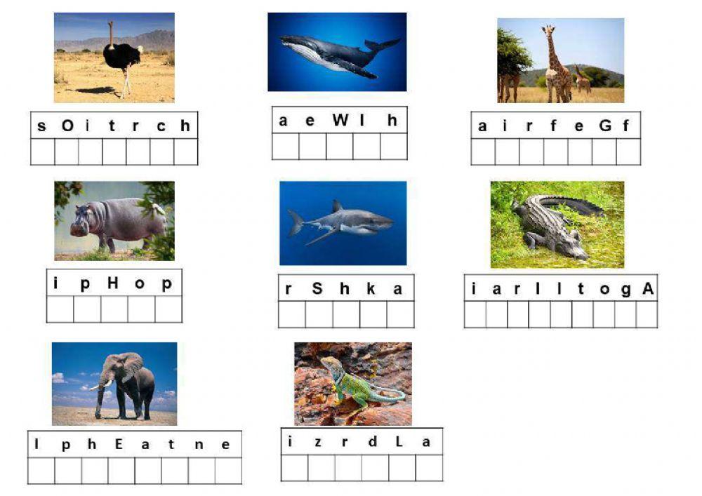 Wild animals online exercise for grade 4 | Live Worksheets