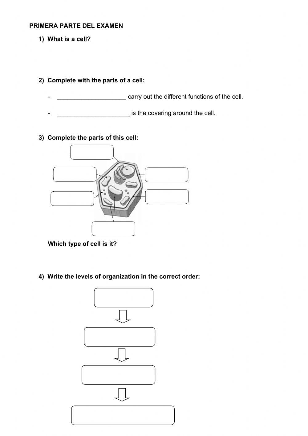 Cells online exercise for 6º | Live Worksheets