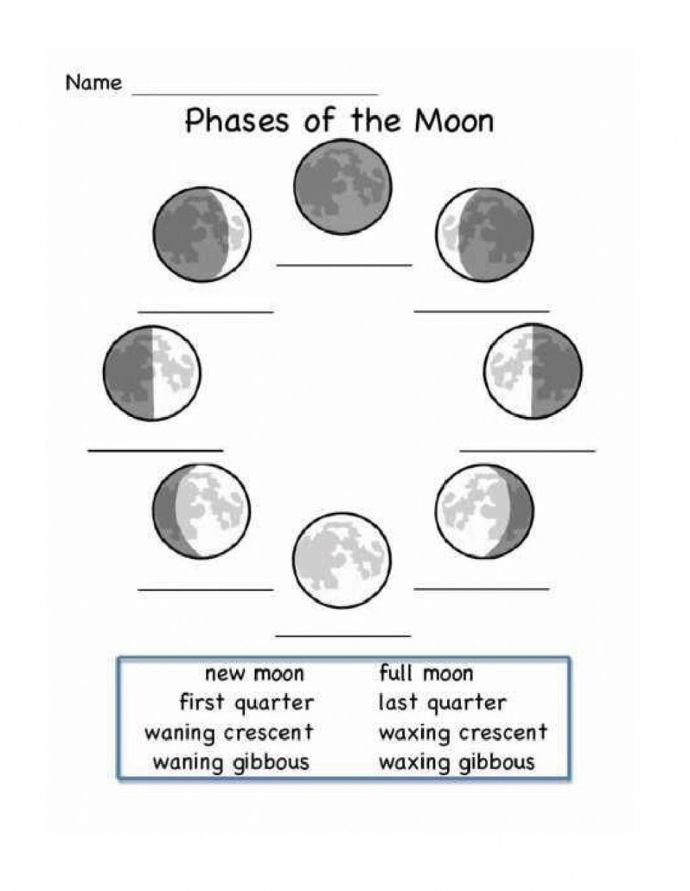 Moon Phases online exercise for | Live Worksheets