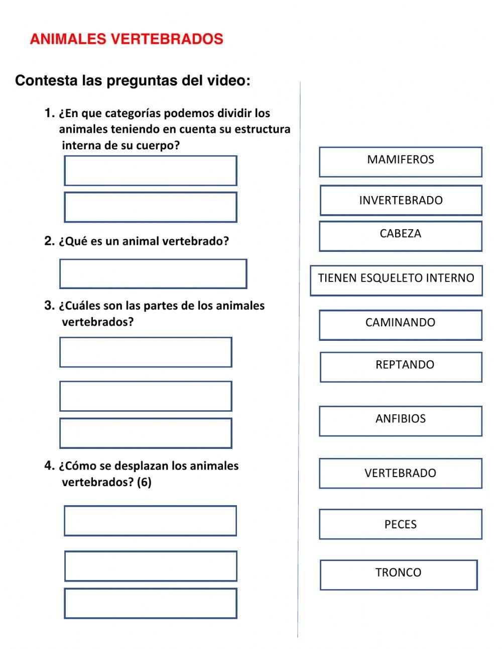 Animales Vertebrados online pdf activity | Live Worksheets