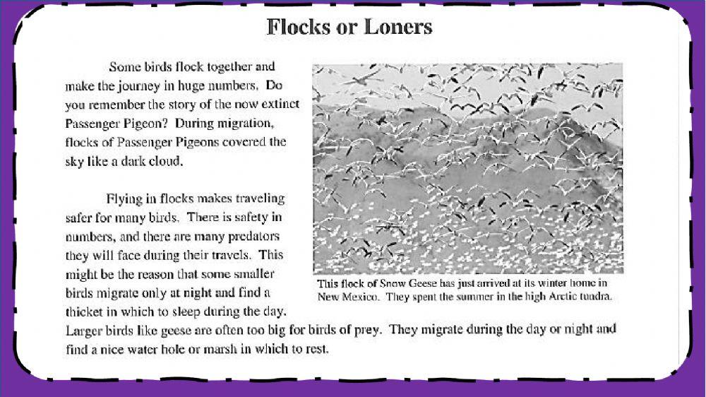 430838 | Biology | LilScholarTeacher | LiveWorksheets