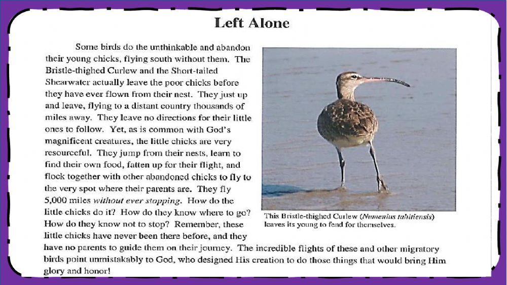 430838 | Biology | LilScholarTeacher | LiveWorksheets