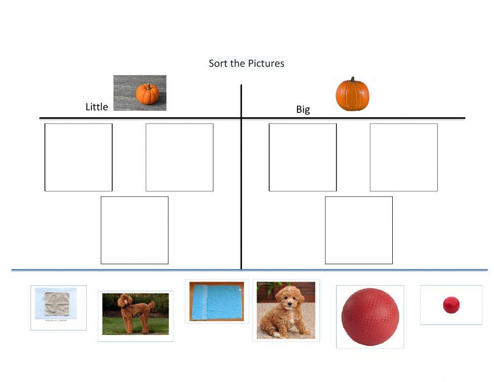 Sort big-little | Free Interactive Worksheets | 396023