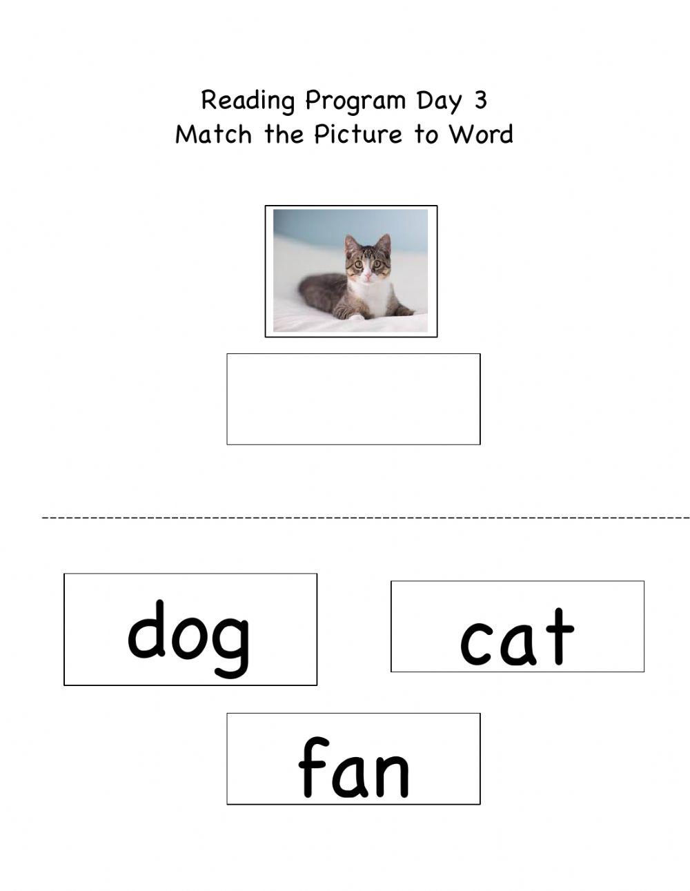 Cat online worksheet | Live Worksheets