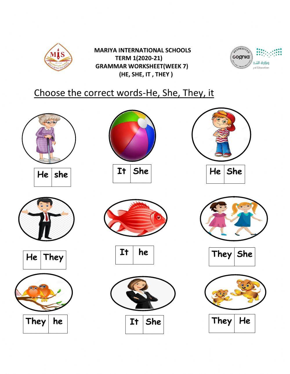 396497 | He, she they it | jayamala | LiveWorksheets