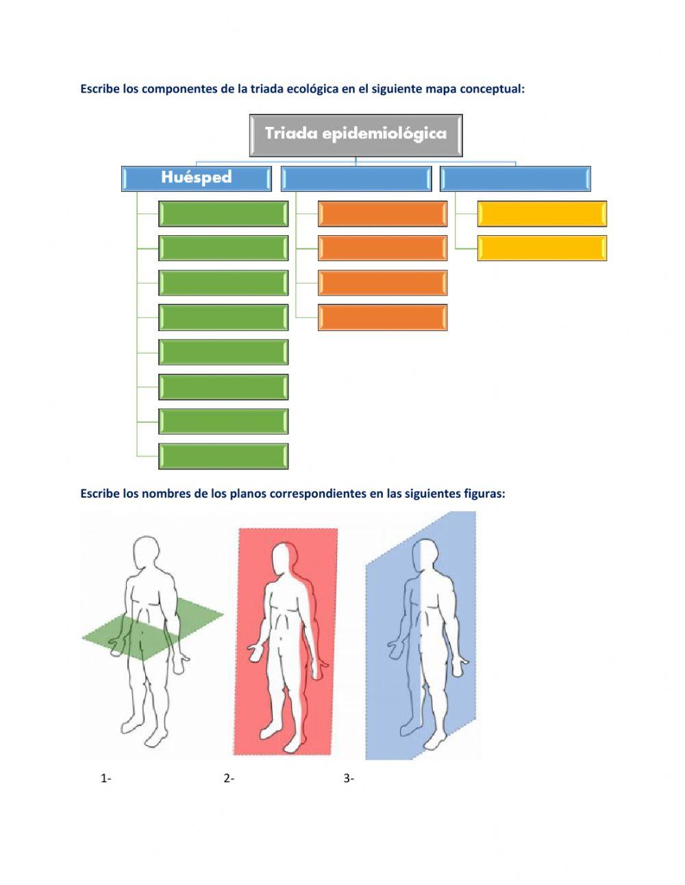 EXAMEN CS1 W | Free Interactive Worksheets | 6098099