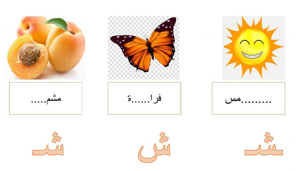 ورقة عمل لحرف الشين 433040 | Shammam | Live Worksheets