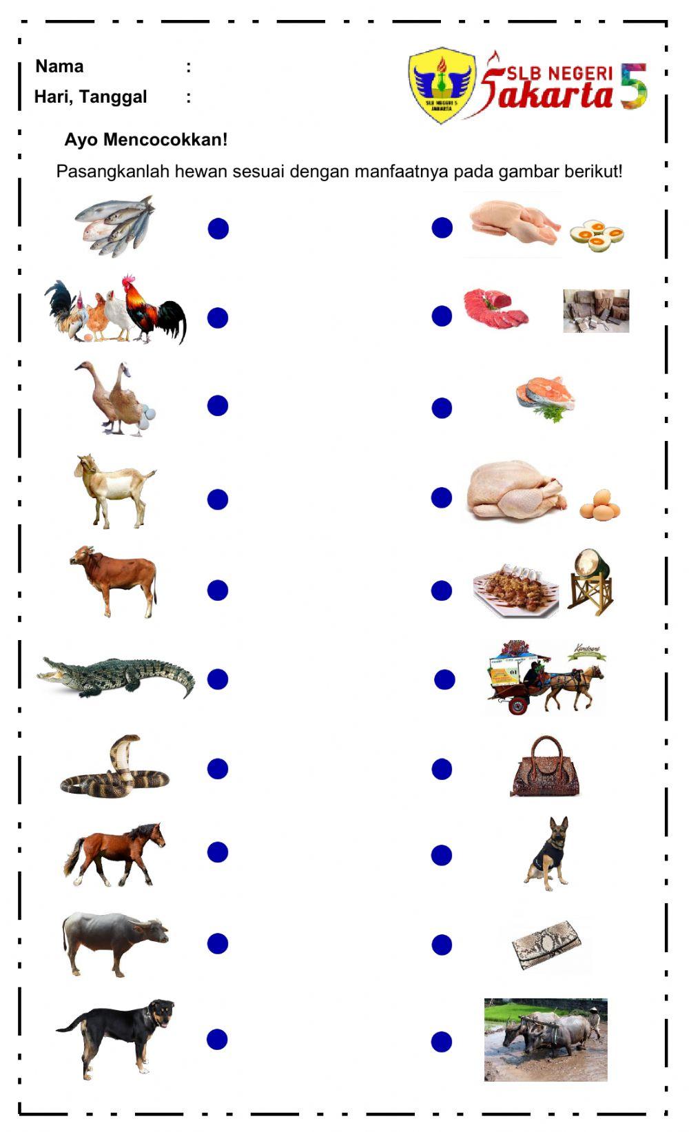 Manfaat Hewan worksheet | Live Worksheets