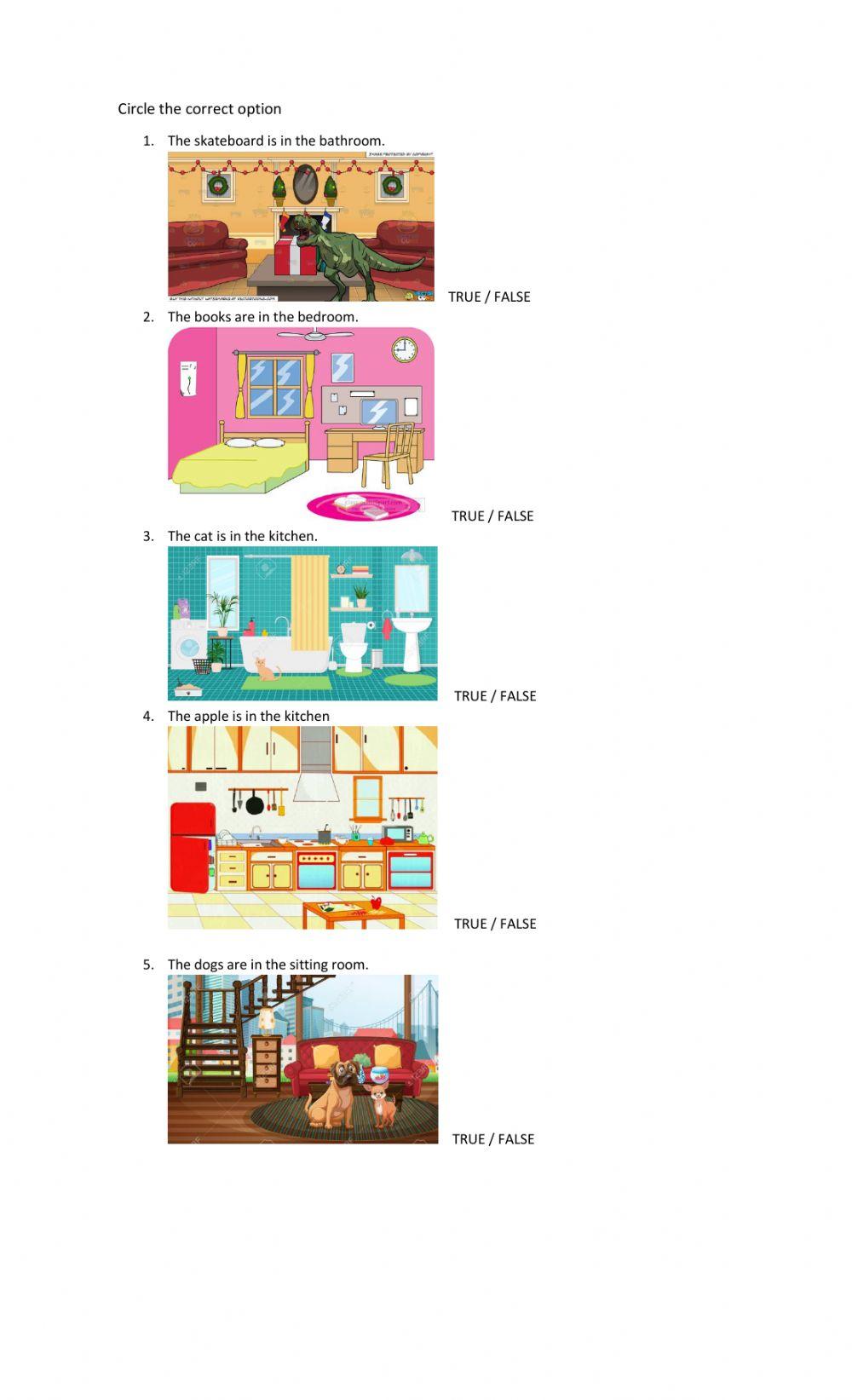 Choose the corect option worksheet | Live Worksheets