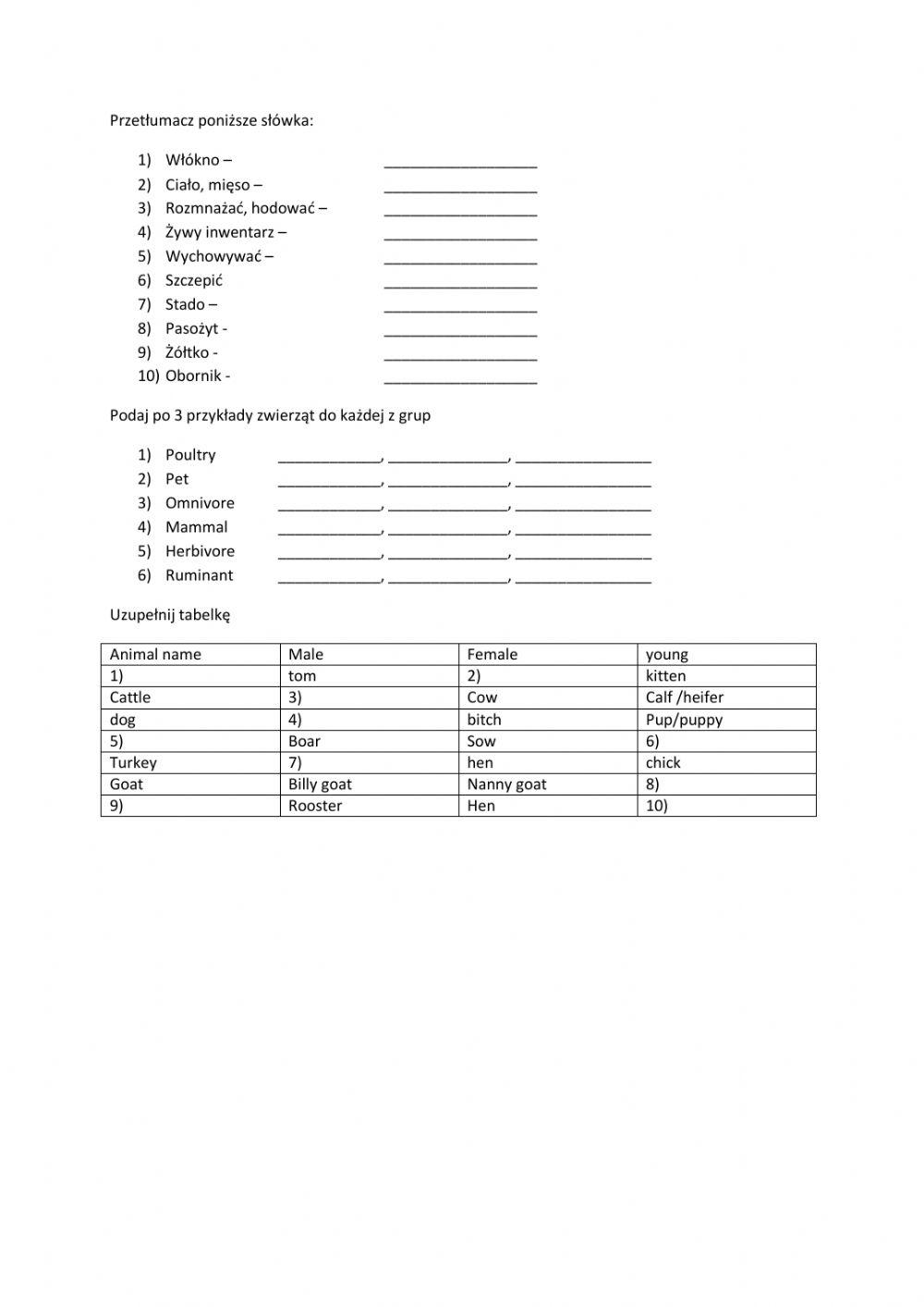 Veterinary | Free Interactive Worksheets | 434947