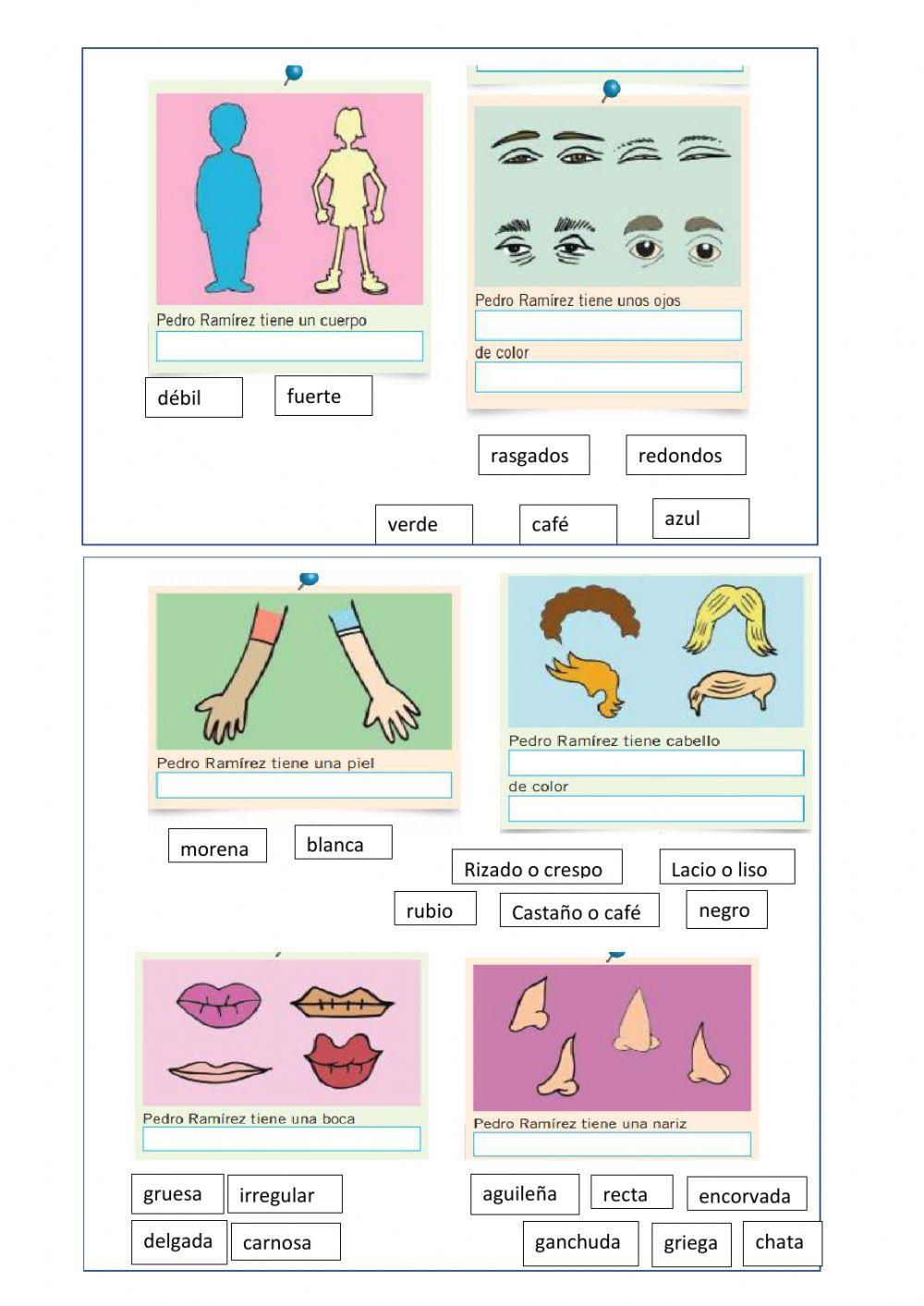 DESCRIPCION | Free Interactive Worksheets | 6155496