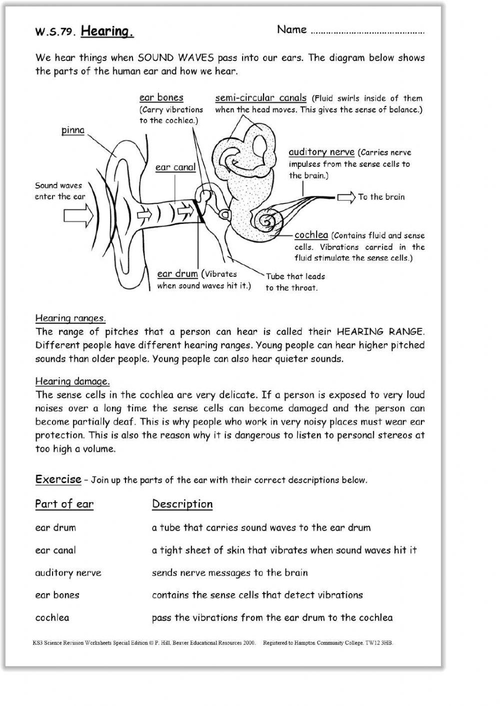 KS3 colour and sound online exercise for | Live Worksheets