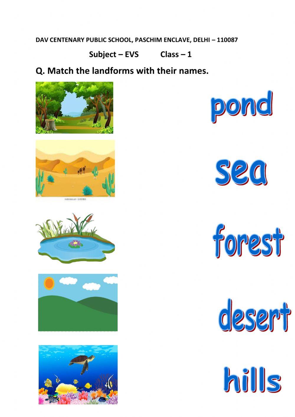 Evs interactive exercise for 1 | Live Worksheets