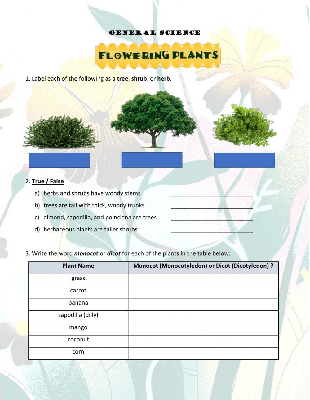 Classifying Ang… | Free Interactive Worksheets | 6159483
