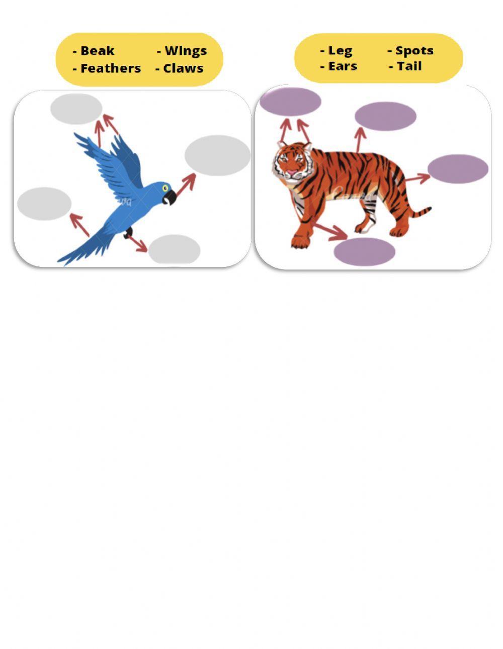 Endangered animals online pdf exercise | Live Worksheets