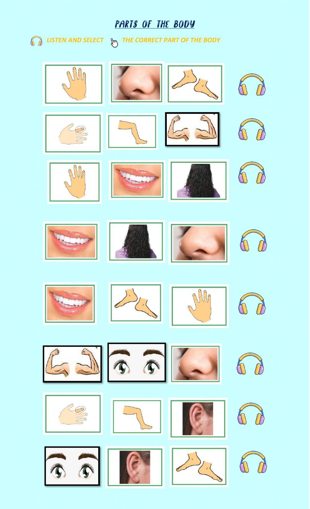 Shake your body | Free Interactive Worksheets | 437823