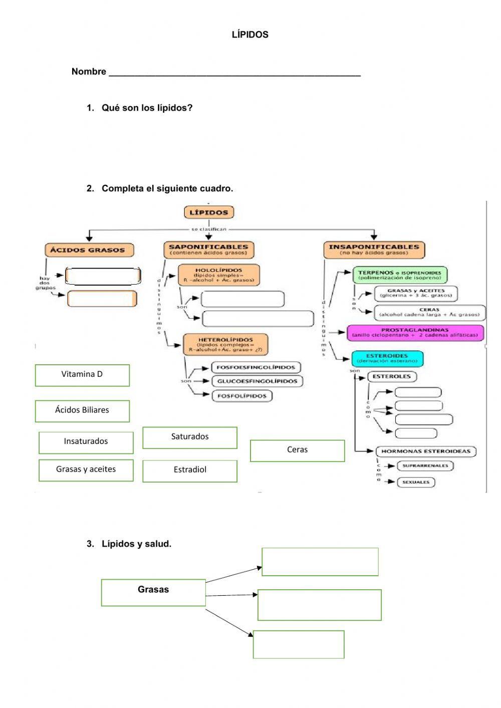 Lípidos | Free Interactive Worksheets | 438171