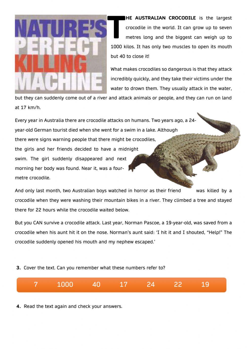 Second Conditional A2 - Animals | LiveWorksheets