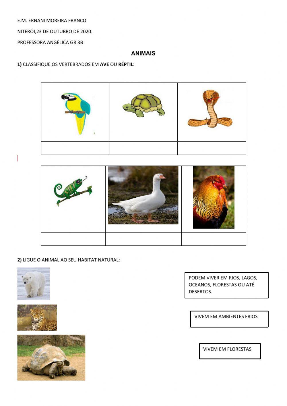 Os vertebrados worksheet | Live Worksheets
