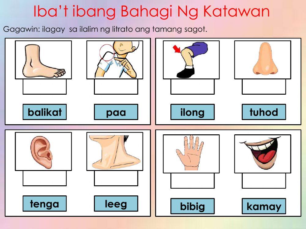 Mga Bahagi Ng Katawan (Flashcards) Preschool Twinkl, 51% OFF