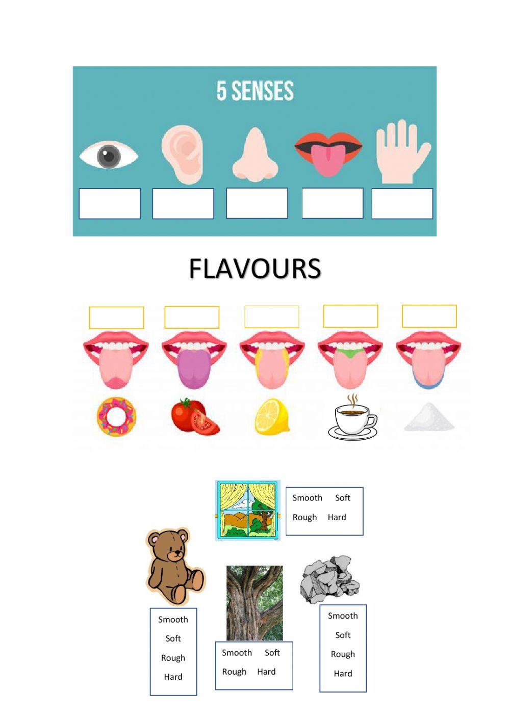 Senses Free Exercise Live Worksheets
