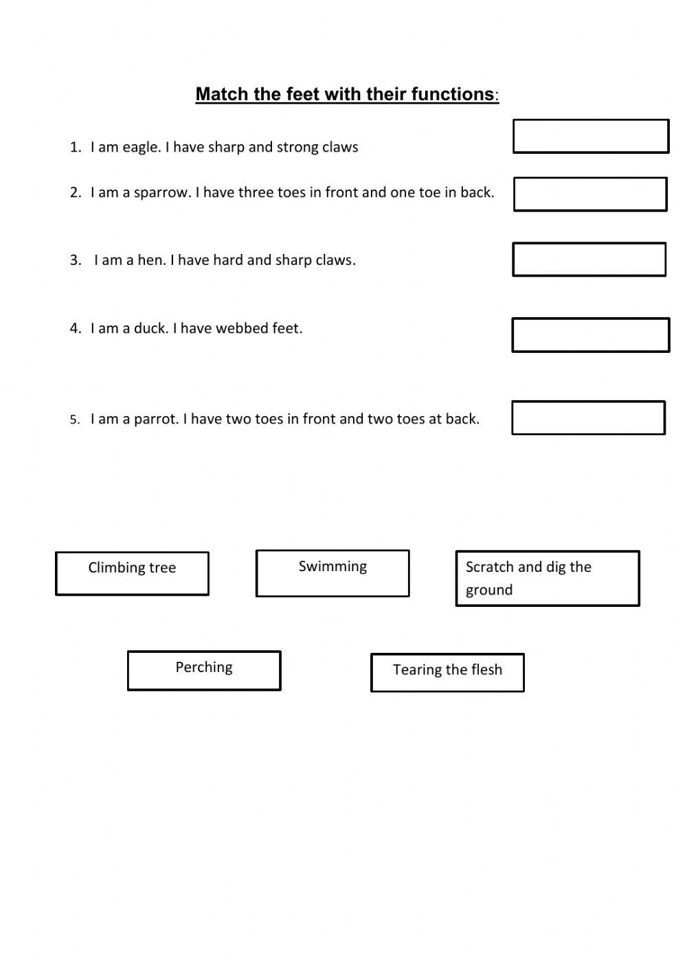 Functions of feet | LiveWorksheets | 4359232