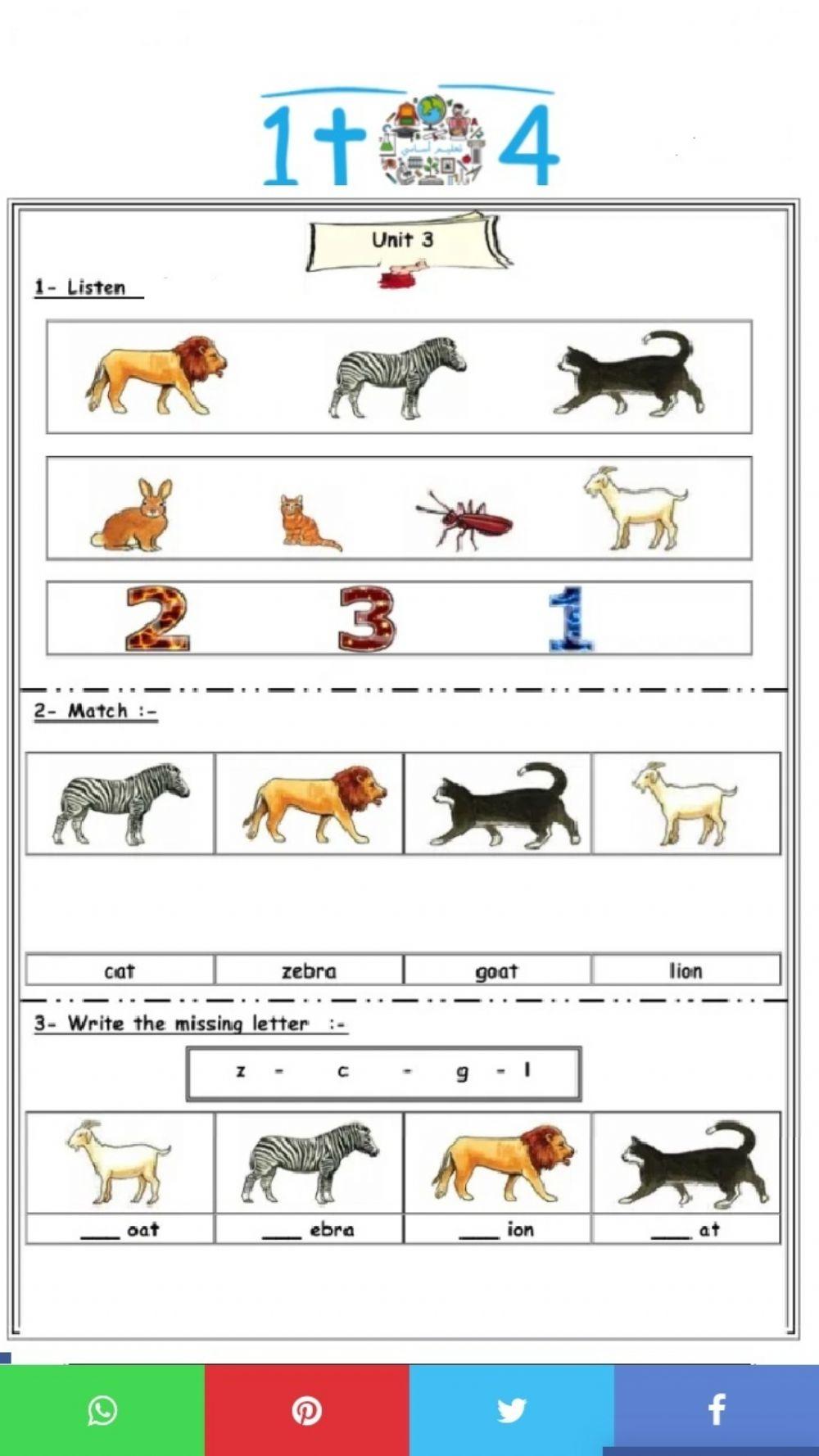Unit 3words interactive worksheet | Live Worksheets