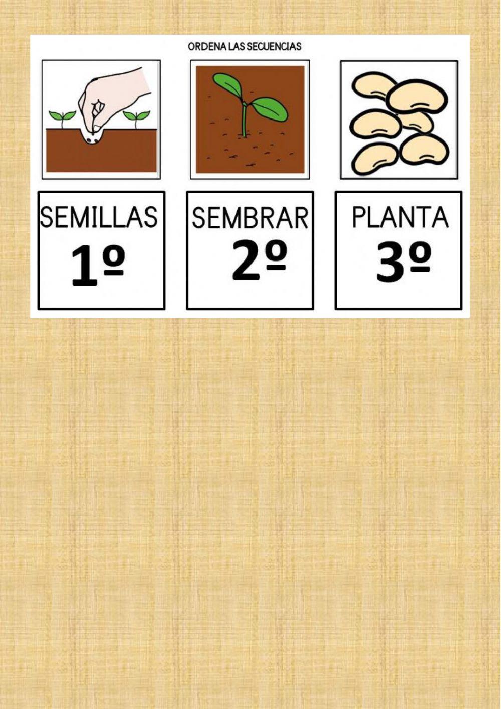 Las plantas 445059 | Janella Alexandra Jacome Ortega