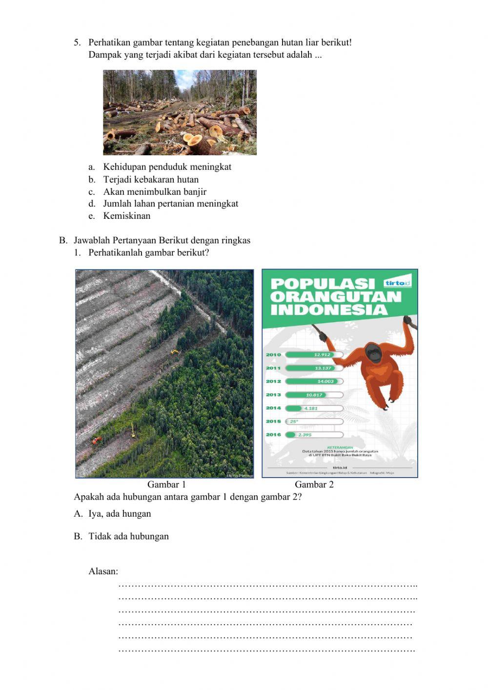 Sumber Daya Hutan interactive worksheet | Live Worksheets