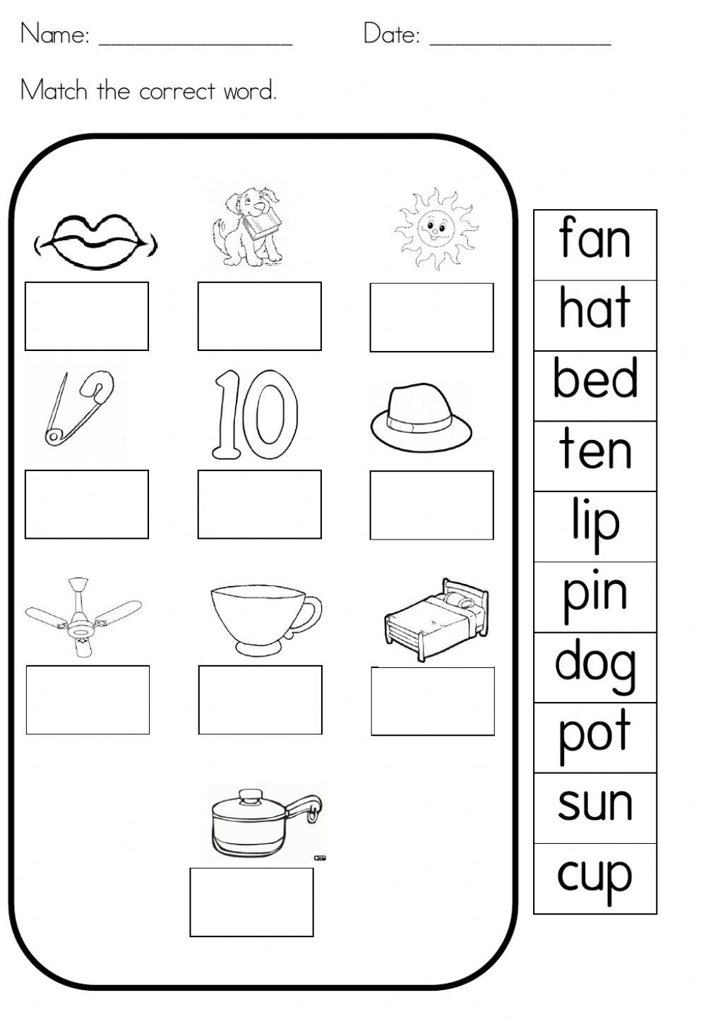 Cvc words | Free Interactive Worksheets | 450873