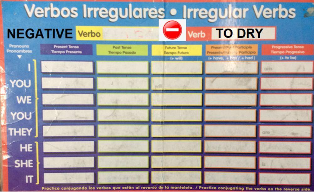 Verb to dry negative worksheet | Live Worksheets