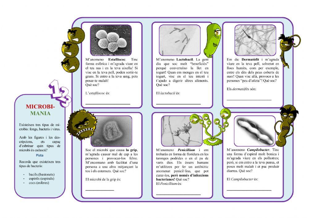Tipus de microbis worksheet | Live Worksheets