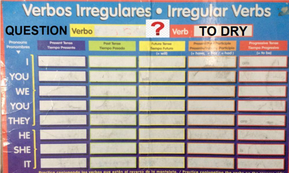 Verb to dry question worksheet | Live Worksheets