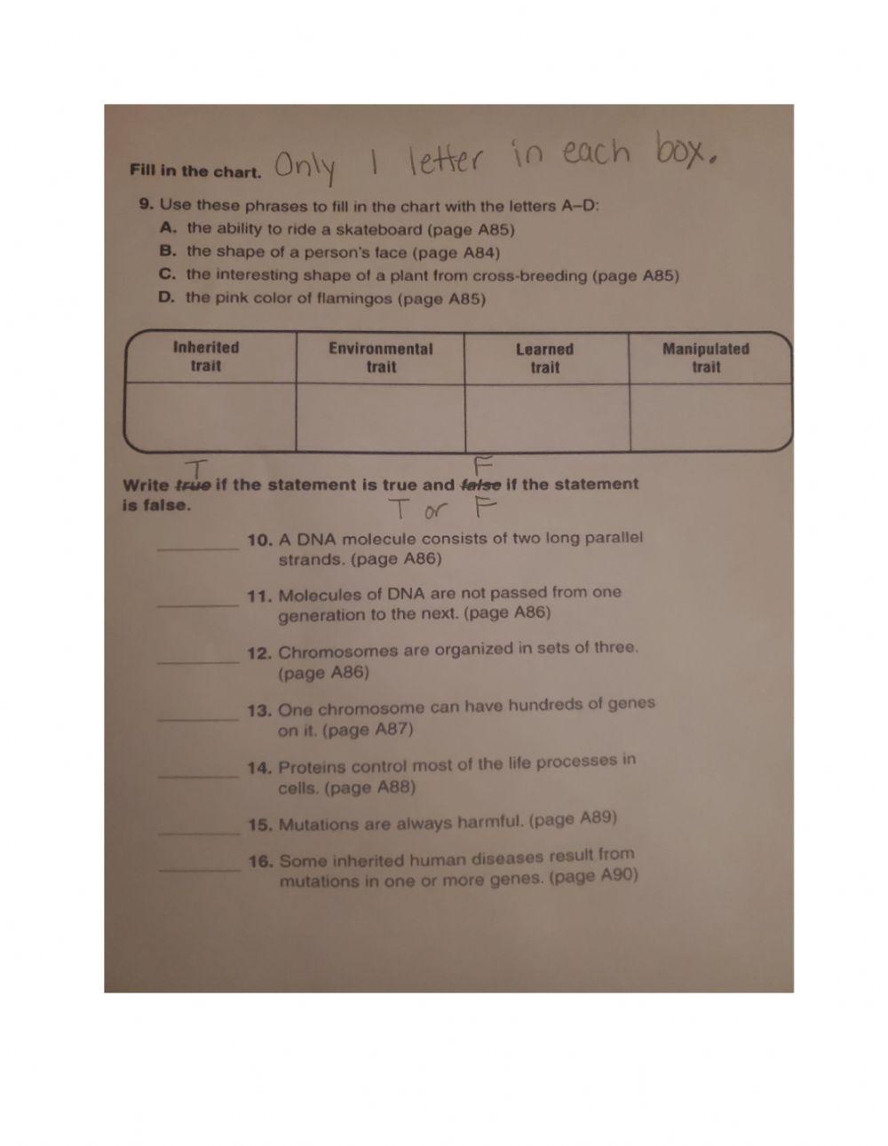Ch 3 ST worksheet | Live Worksheets