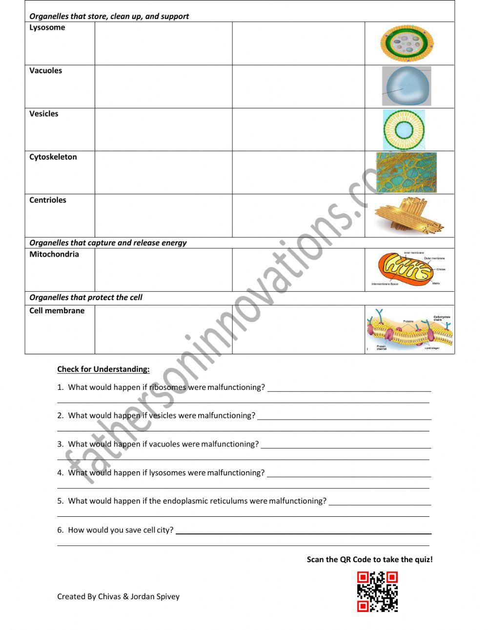 6885374 | Cell City 101 Video Notes with Video & Quiz